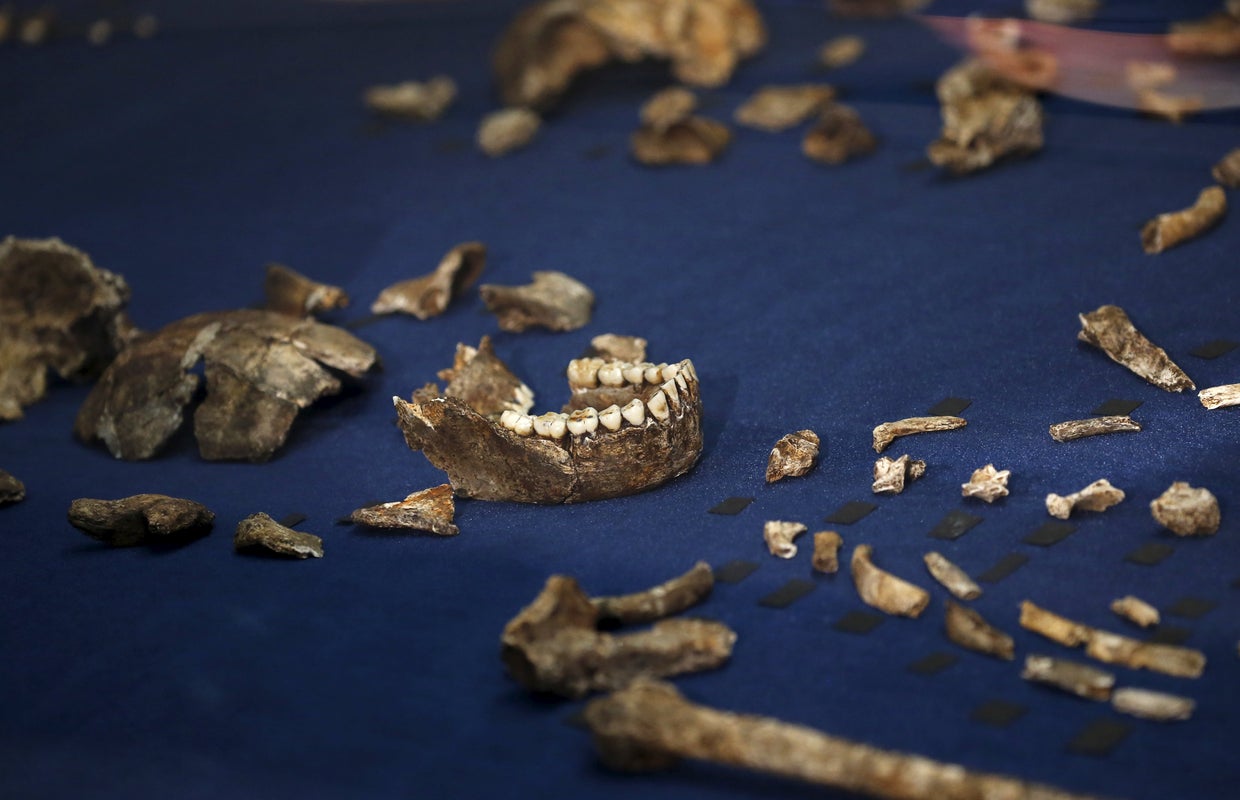 New almost human relative - Homo naledi - discovered in South Africa