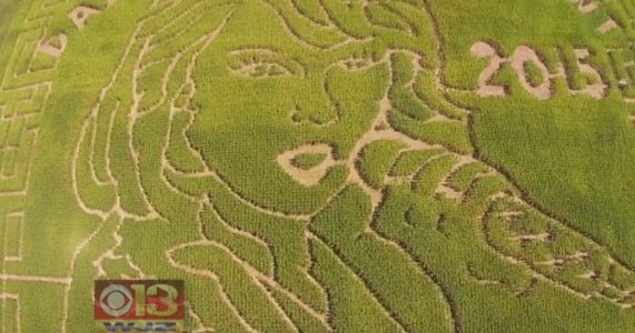Farm creates giant corn maze featuring Taylor Swift's face - CBS News
