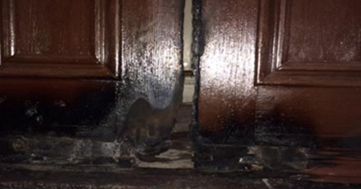 Police: Another St. Louis church hit with arson fire - CBS News