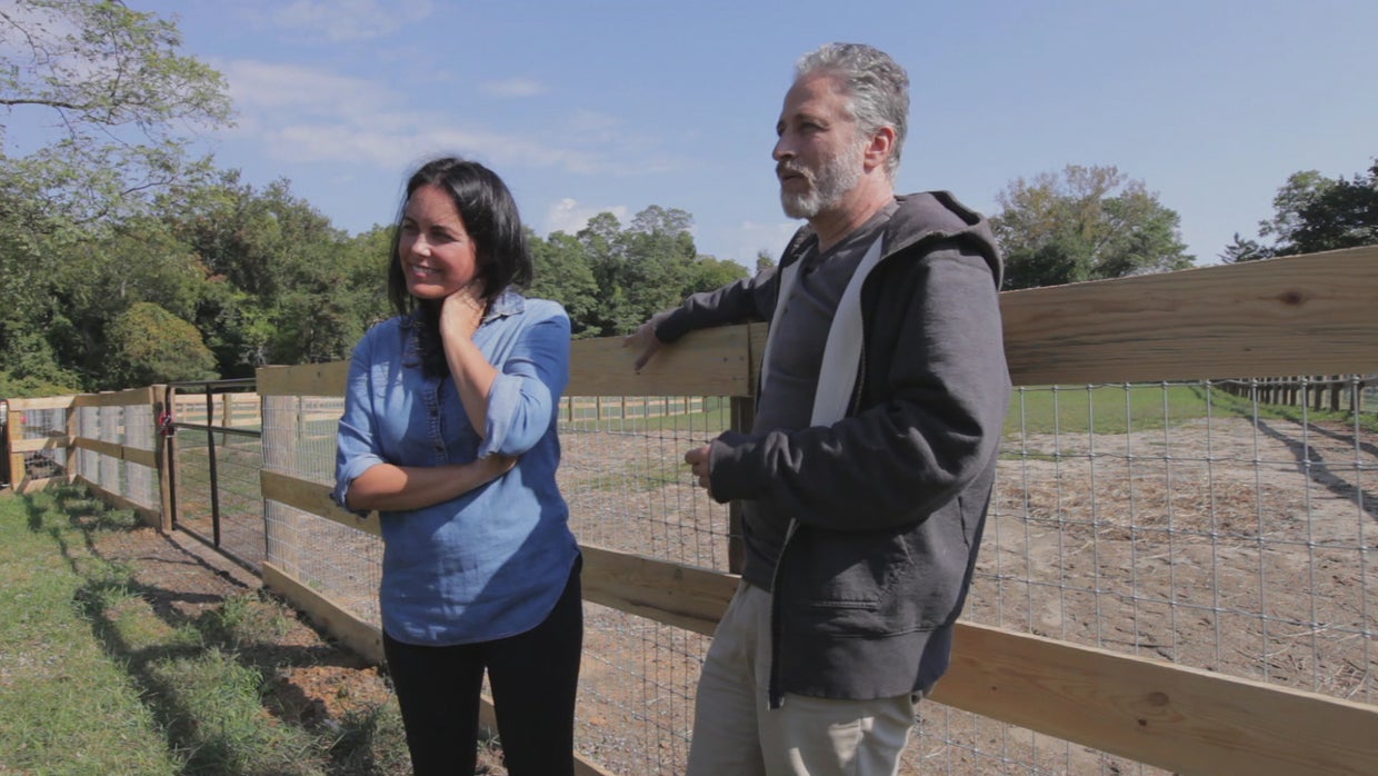 Tragic end for horse rescued by Jon Stewart's family - CBS News