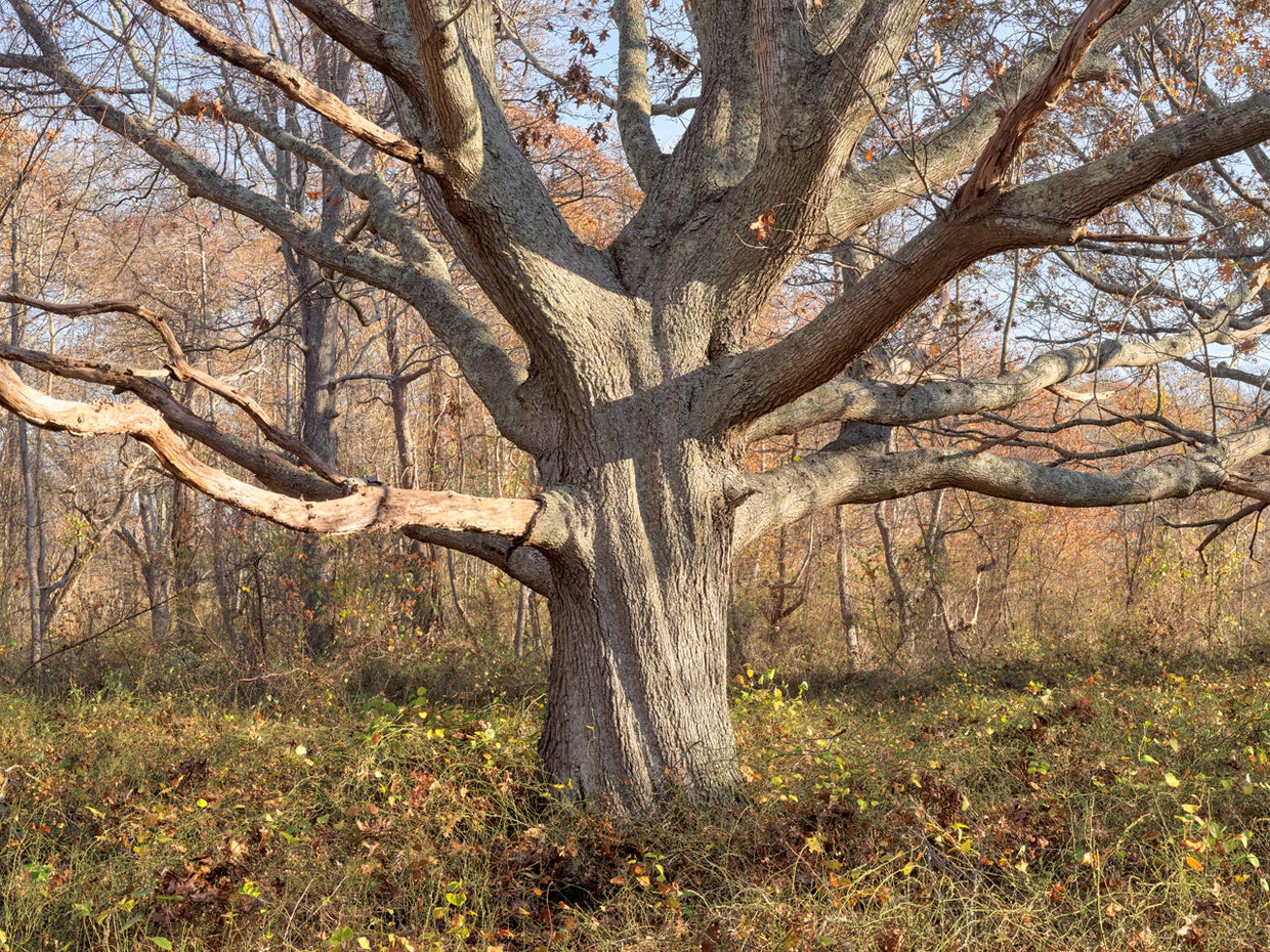 Landscape photos of Daniel Jones