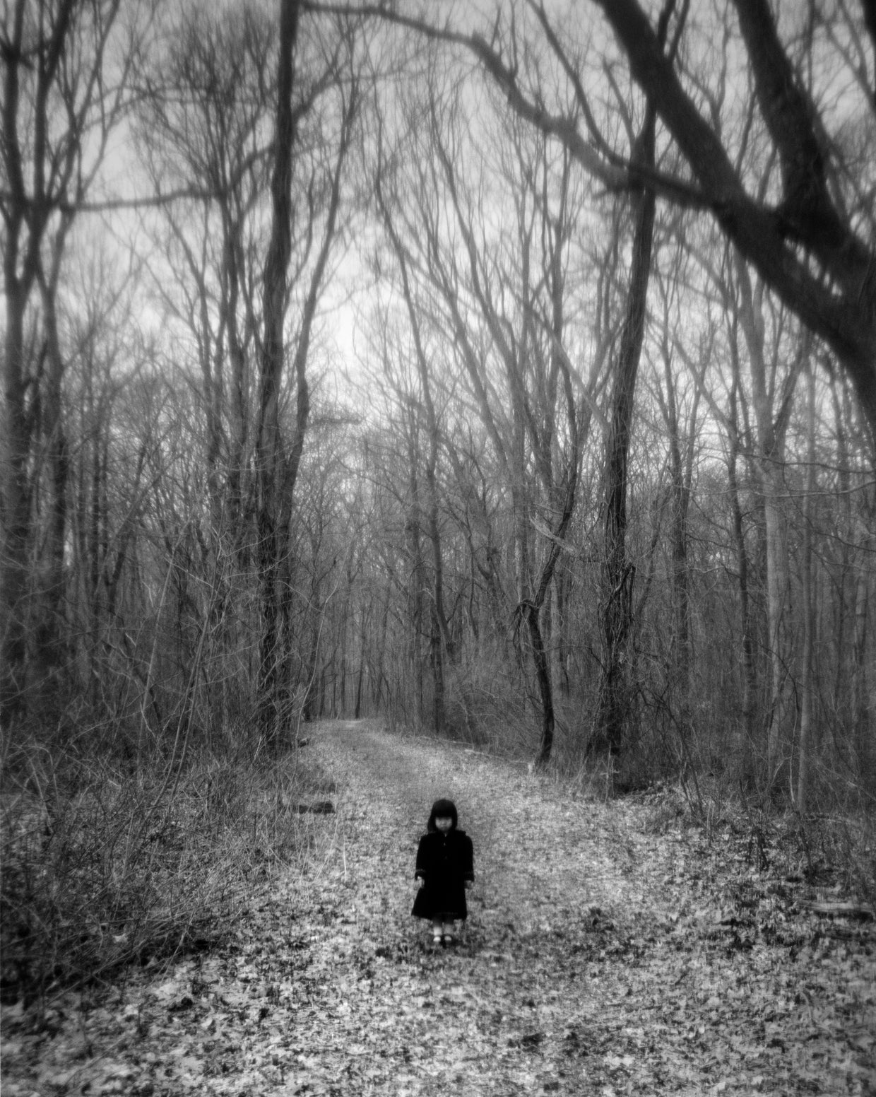 Landscape photos of Daniel Jones