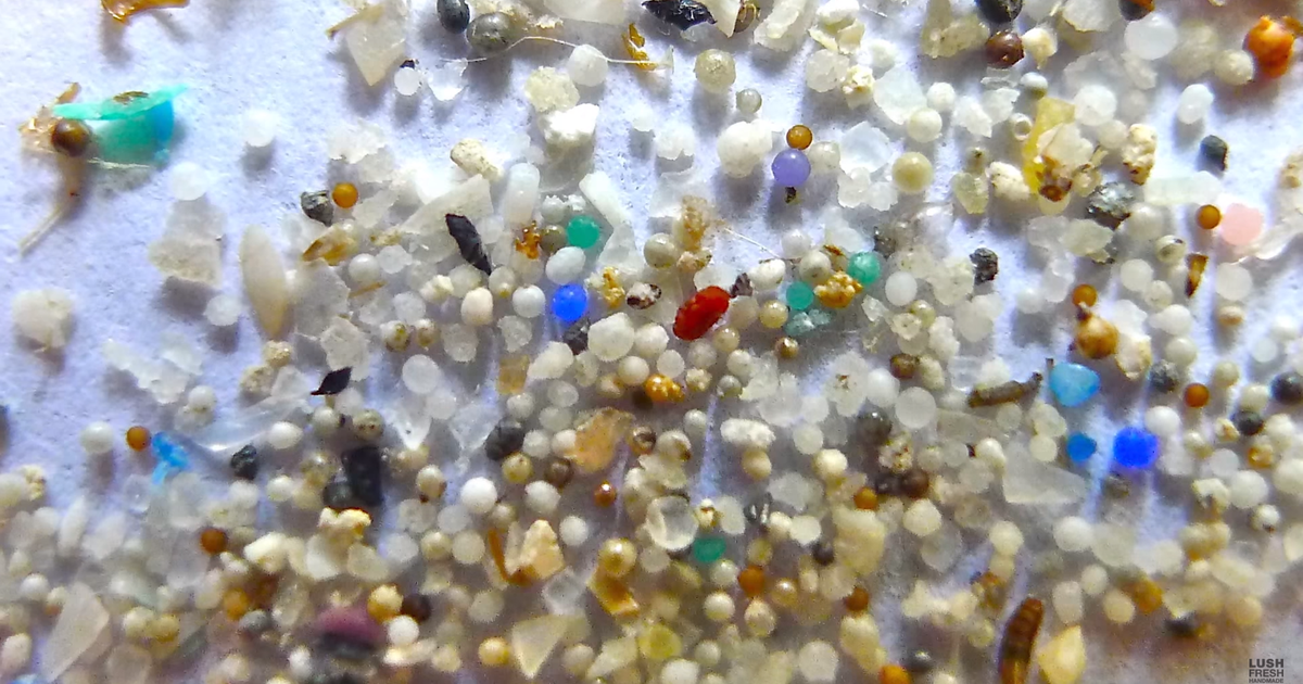 Enviromentalists applaud new law banning microbeads - CBS News