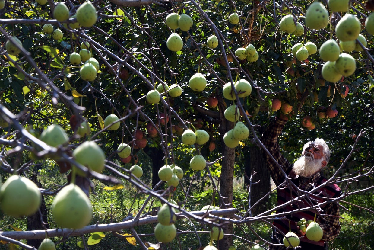 These foods will help you sleep better