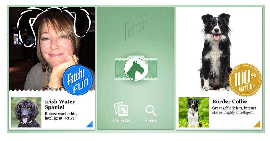 Facial recognition technology goes to the dogs - CBS News