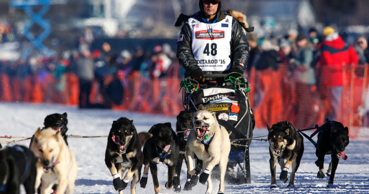 Alaska's Iditarod: "The last great race"