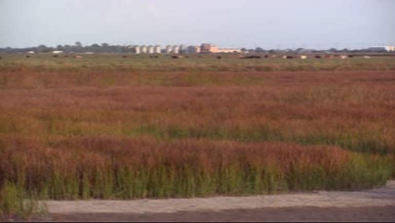 Evidence photos in the Belinda Temple murder case