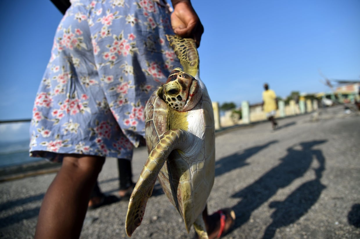Photos of the week - The week in pictures - March 19-25, 2016