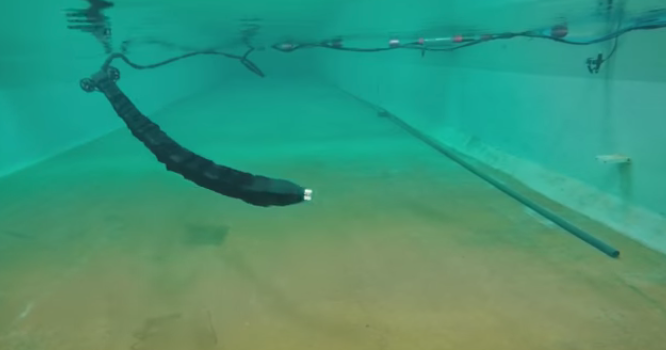 Slinky, swimming robot moves and looks like a snake - CBS News