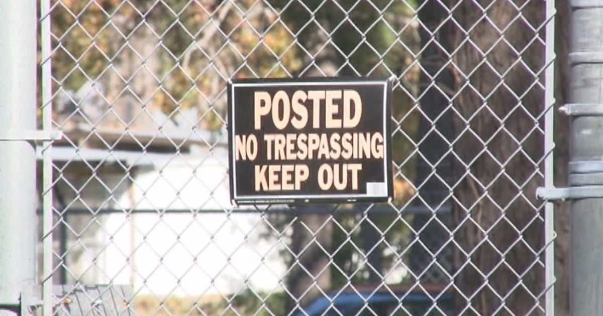 Freedom fleeting for 19 escaped lab monkeys in S.C. - CBS News