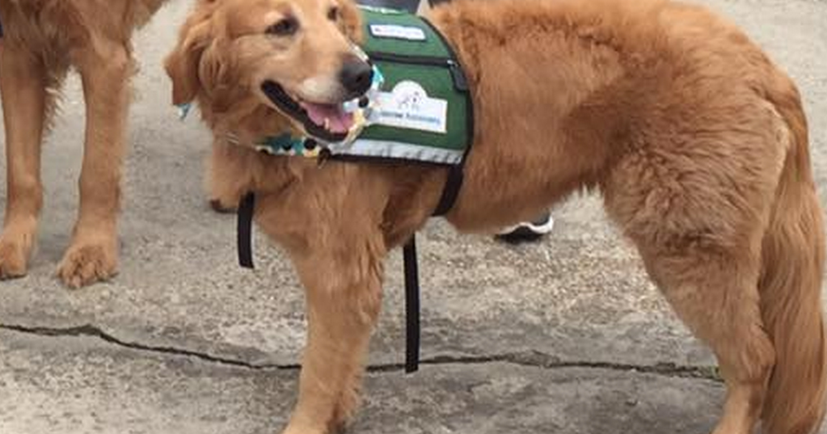 Supreme Court takes up case of girl's service dog - CBS News