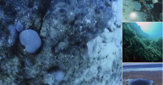 World's deepest blue hole found in South China Sea - CBS News