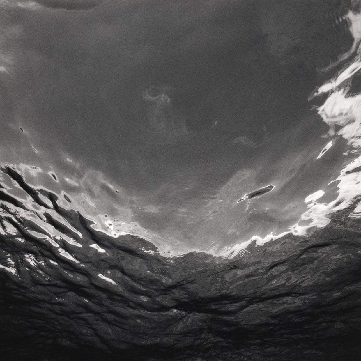 The art of Edward Mapplethorpe