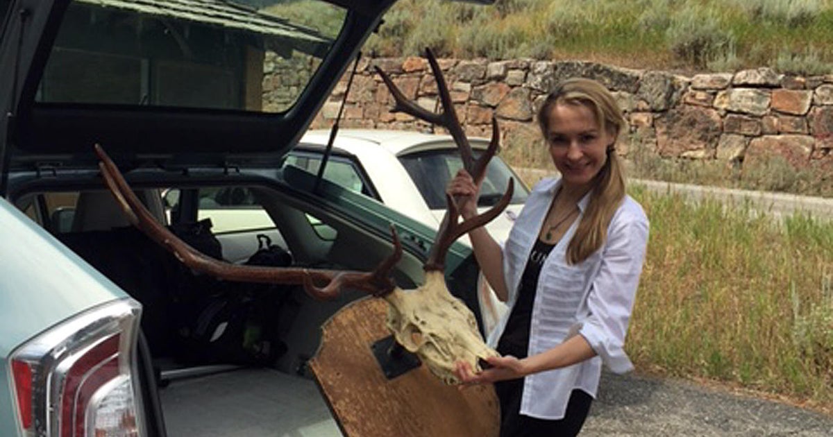 A tale of Hemingway, Hunter S. Thompson and a set of antlers - CBS News