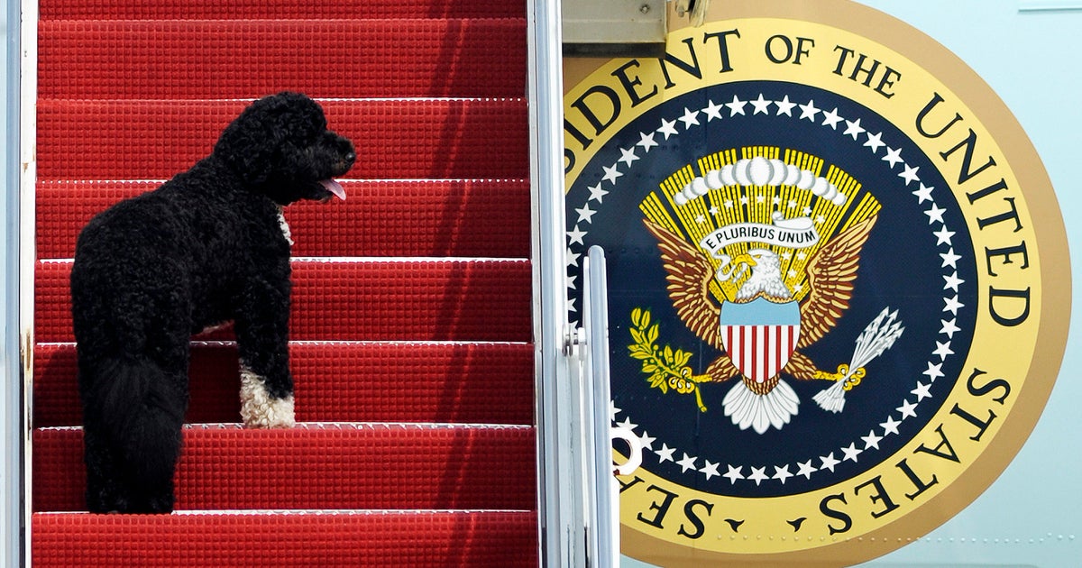 Presidential Pets