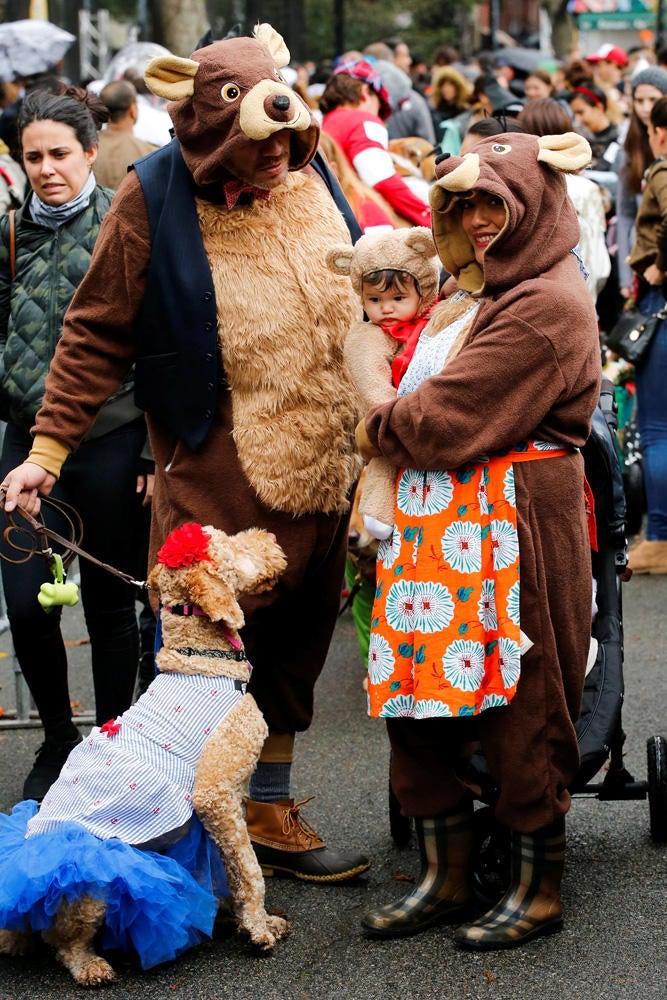 Halloween Dog Parade 2016