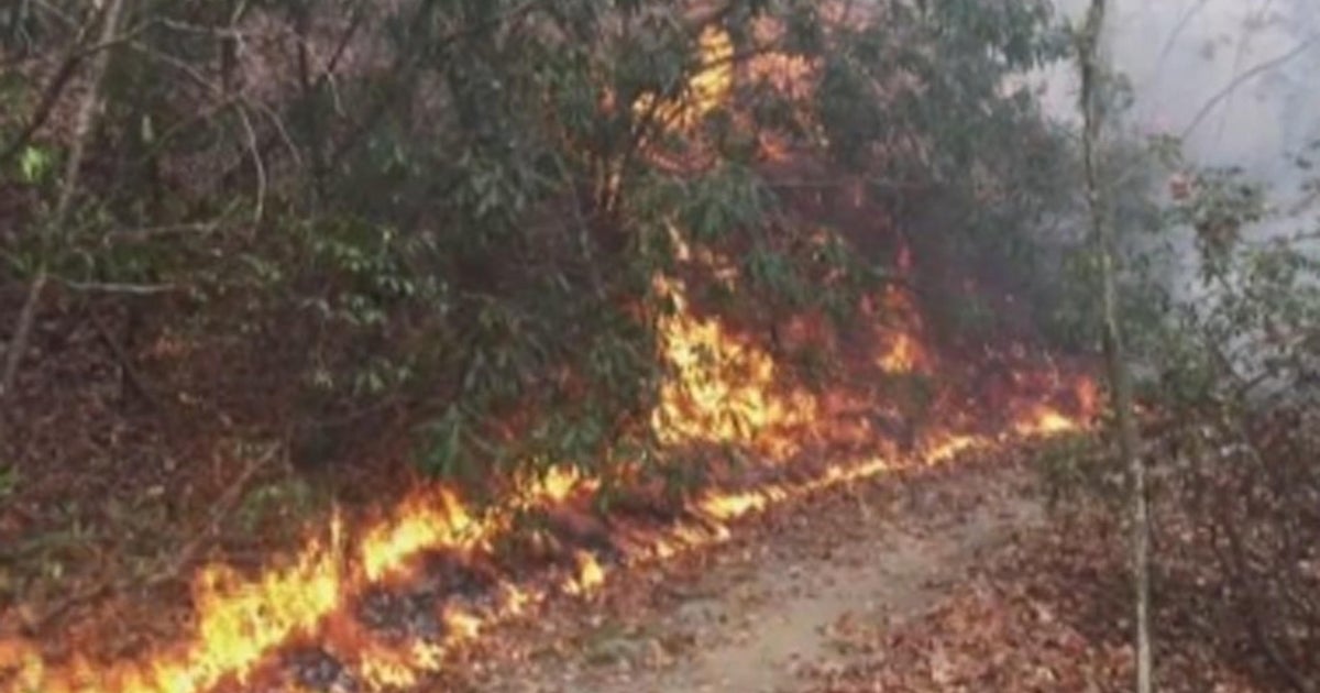 Wildfire bigger than Manhattan chars north Georgia mountains - CBS News