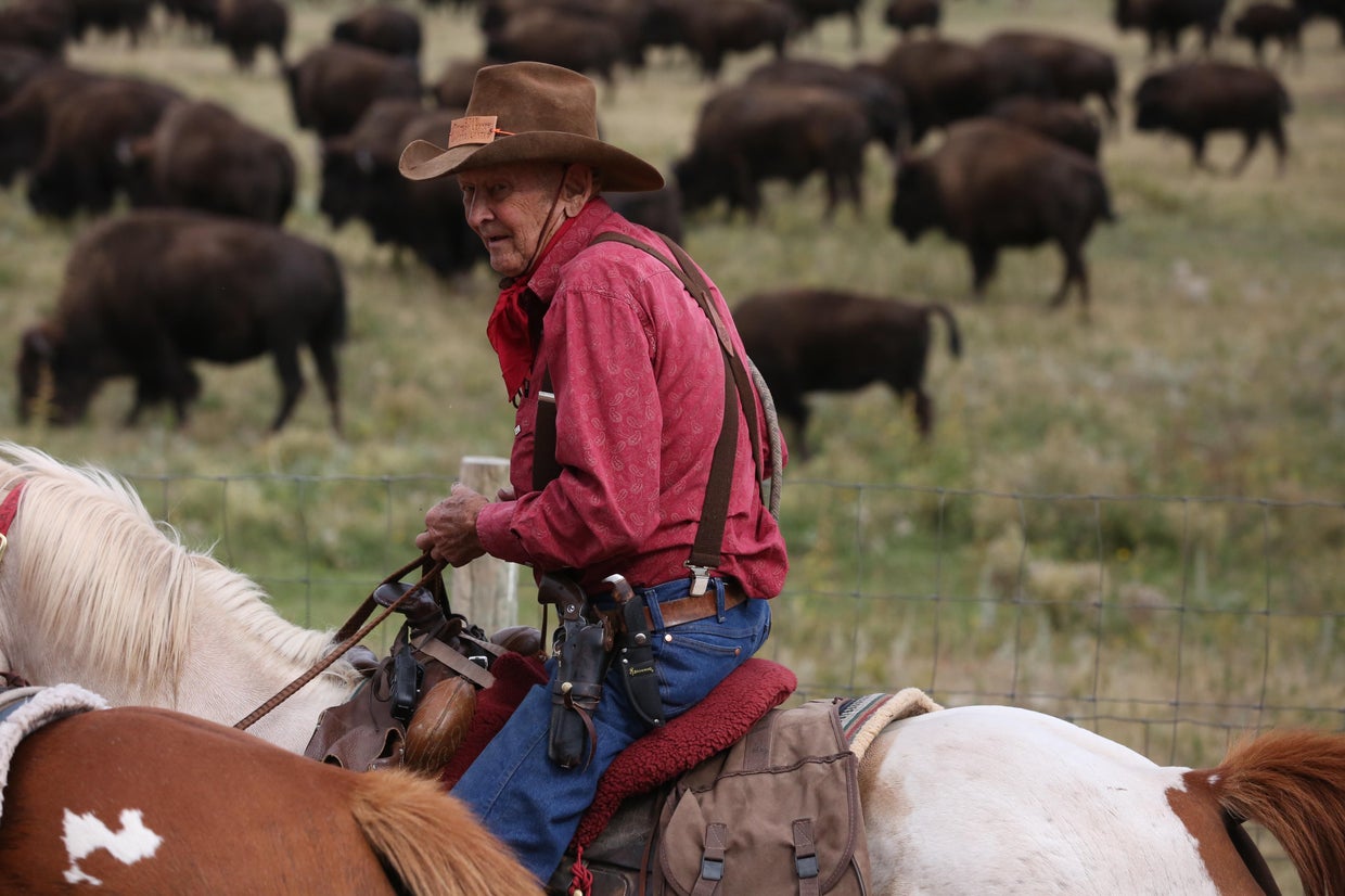 Inside the Custer State Park Buffalo Roundup