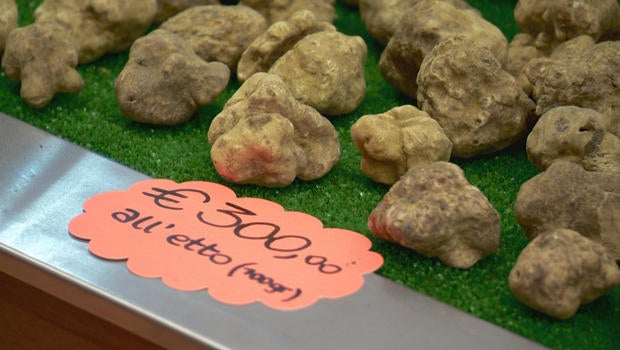 Truffles: Secrets of a fragrant delicacy - CBS News