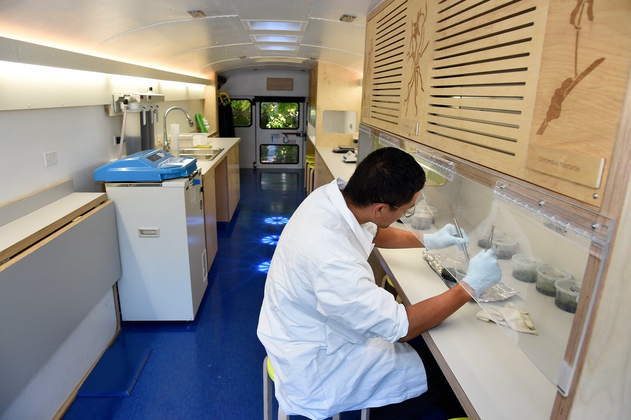 U.S. jobs most held by immigrants, ranked