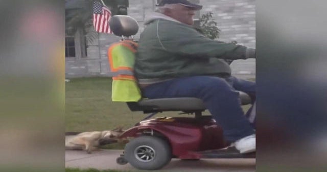 Disturbing video shows man dragging dog behind motorized wheelchair ...