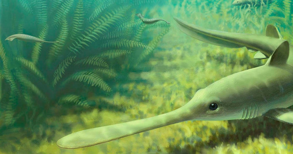 Tully the spineless monster? Experts say ancient beast had no backbone ...