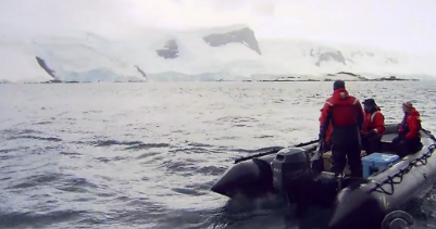 Climate Diaries: Saving whales in Antarctica - CBS News