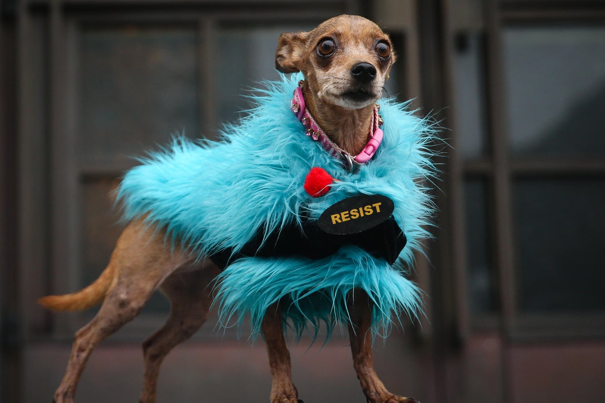 Trump protests around the world