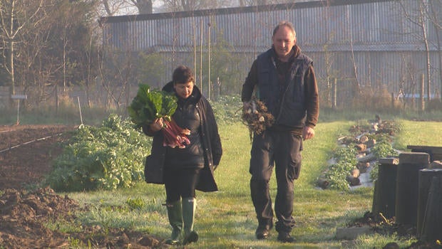 A food revolution in Ireland - CBS News