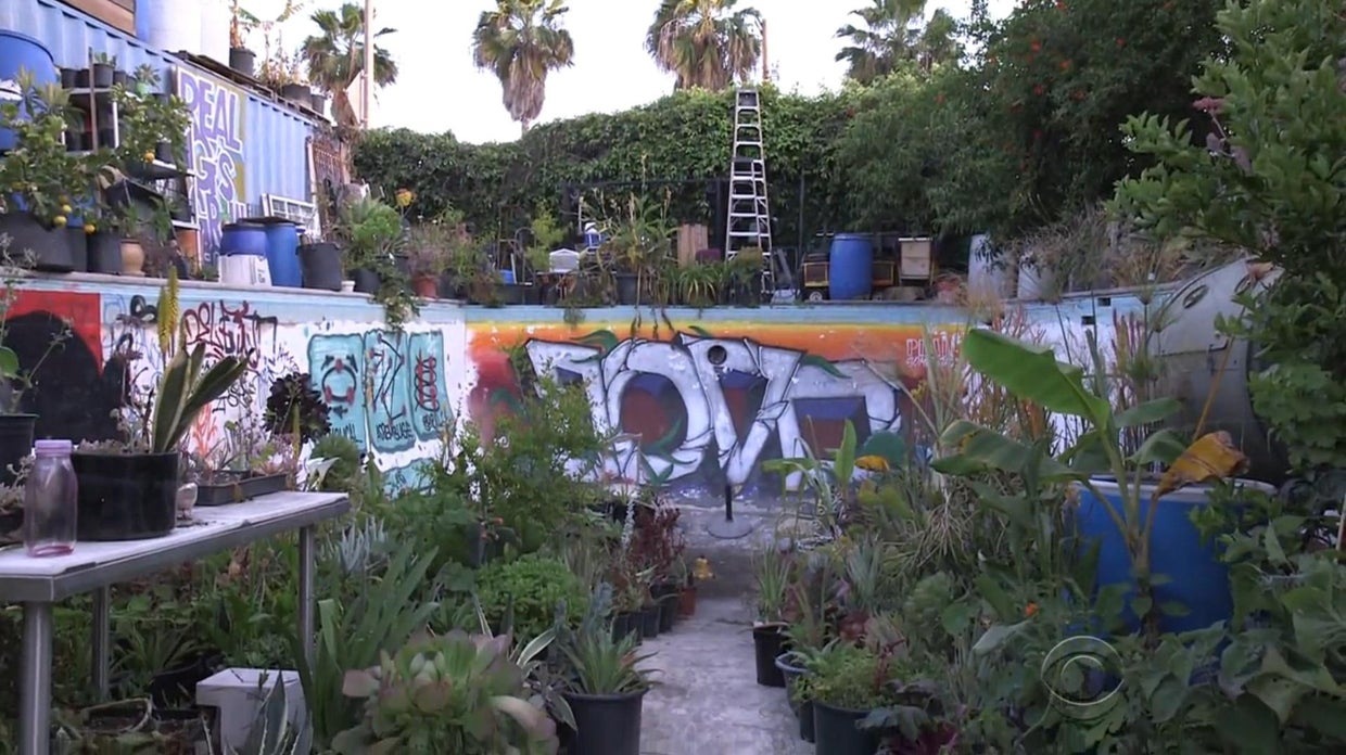 "Gangsta Gardener" Ron Finley fights to save urban farm from eviction ...