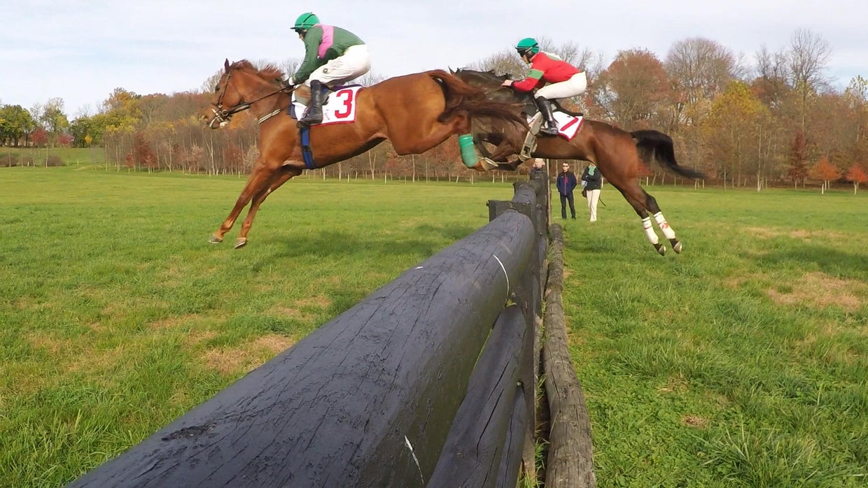 Danger and beauty of a lesser-known style of horse racing - CBS News