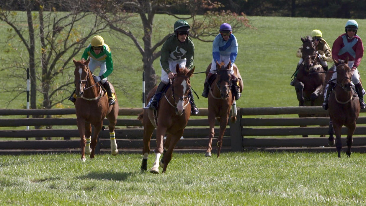 Horse racing not for the faint-hearted - CBS News