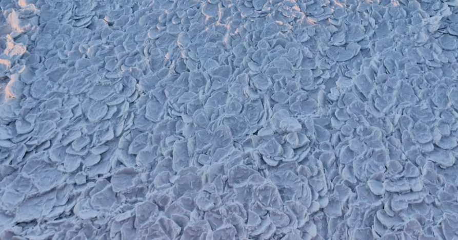 Rare "dragon skin" ice spotted in Antarctica - CBS News