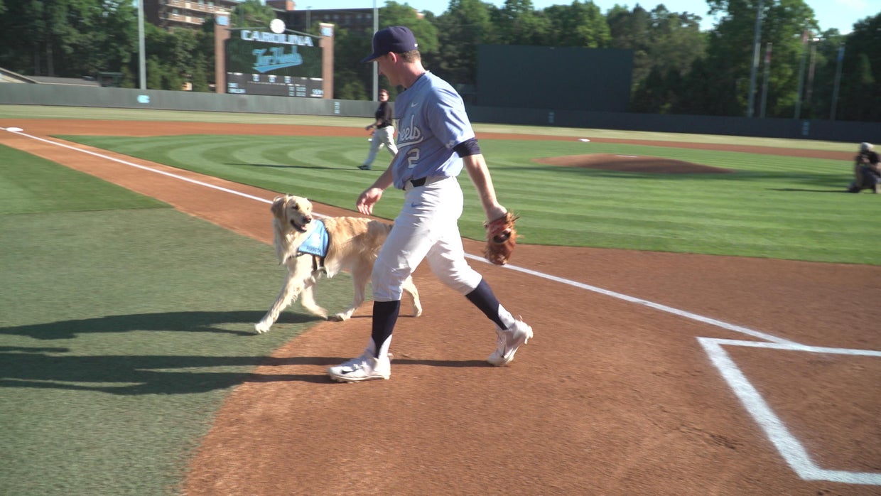 UNC baseball introduces team service dog and it's a total home run ...
