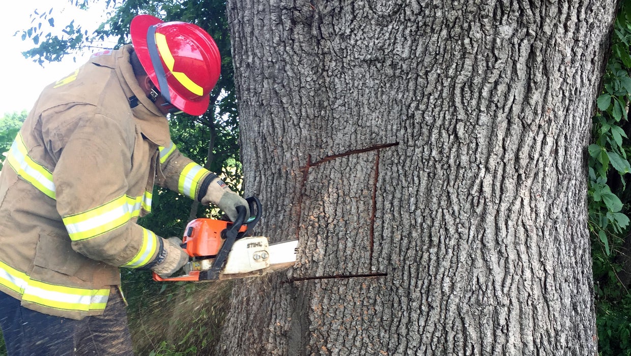 Off-duty troopers rescue dog stuck in tree trunk - CBS News