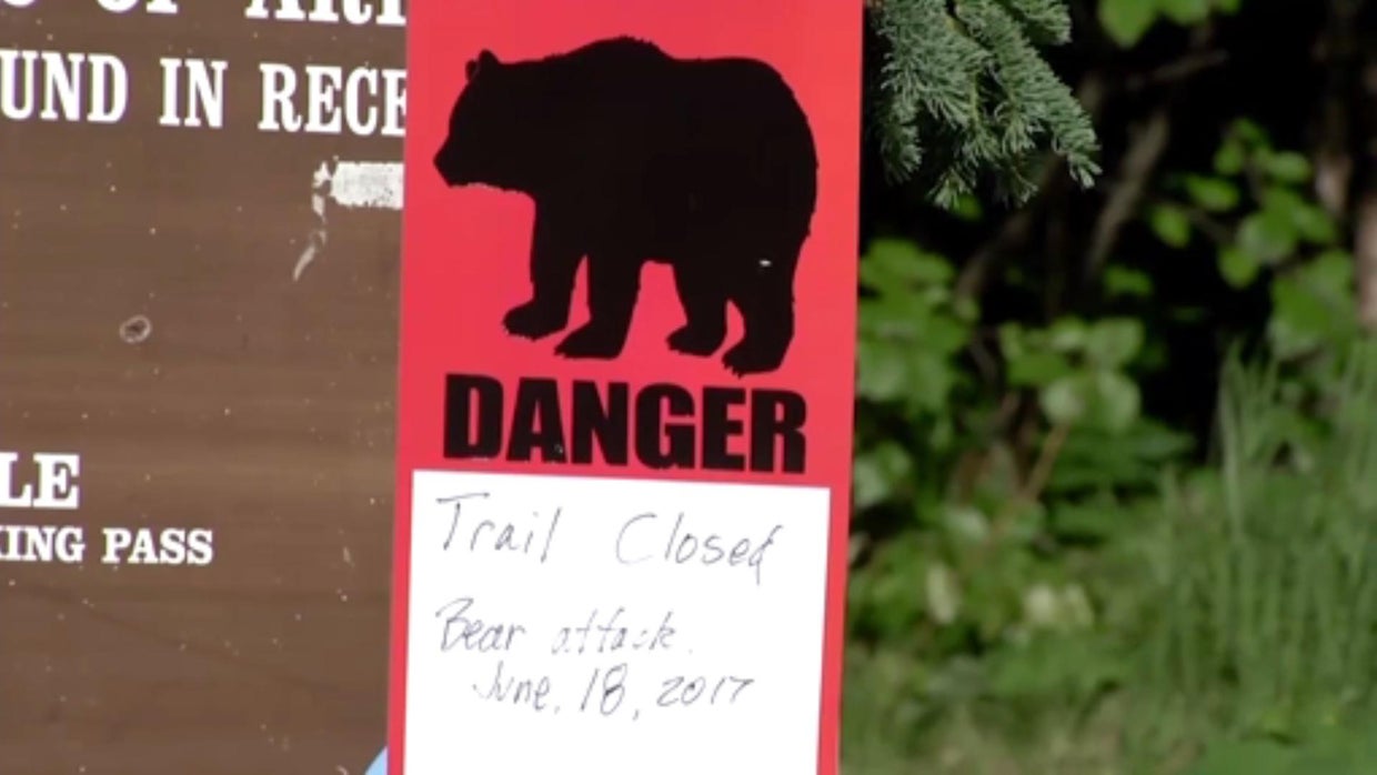 Bear attacks in Alaska leave teen runner Patrick Cooper, contract ...