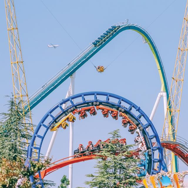 50 states, 50 amusement parks