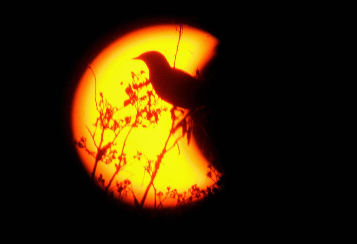 Dazzling solar eclipse photos that won't fry your eyes