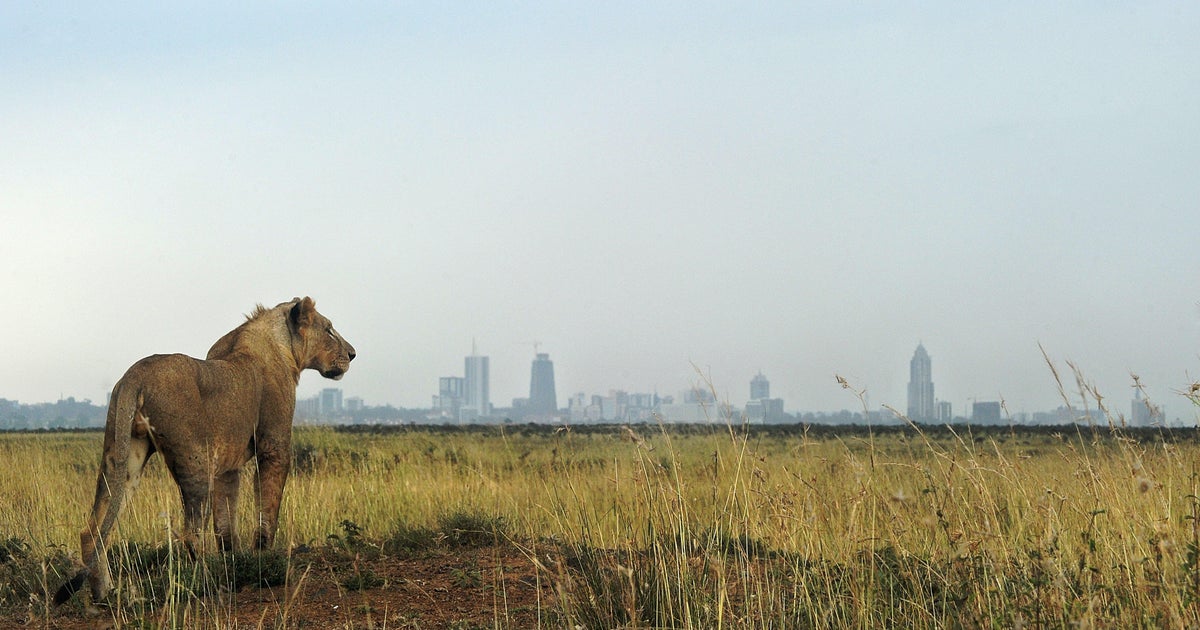 Earth faces "biological annihilation" in sixth mass extinction ...