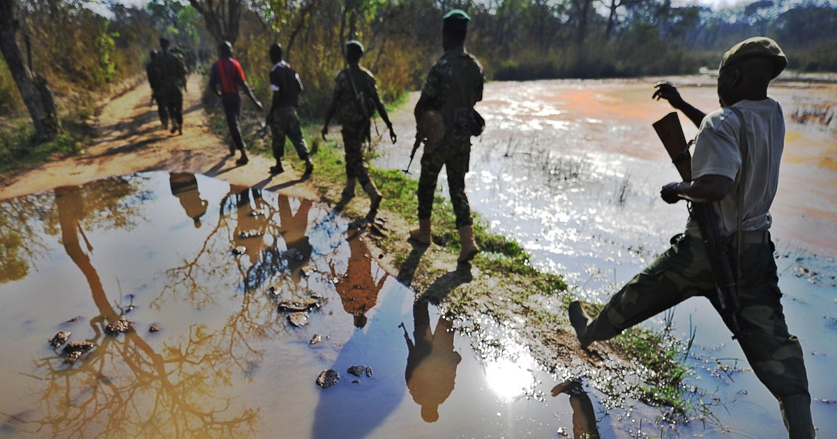 Congo attack in Okapi Wildlife reserve sees Mai Mai militia blamed for ...