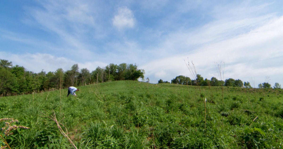 Steve Hartman: Weed addict on the road to recovery - CBS News