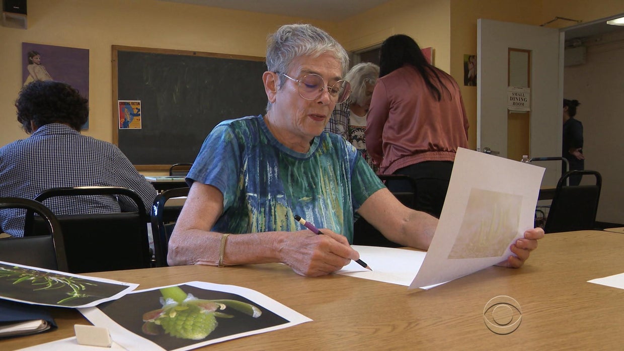 Report challenges claims of cognitive benefits of online brain-training ...