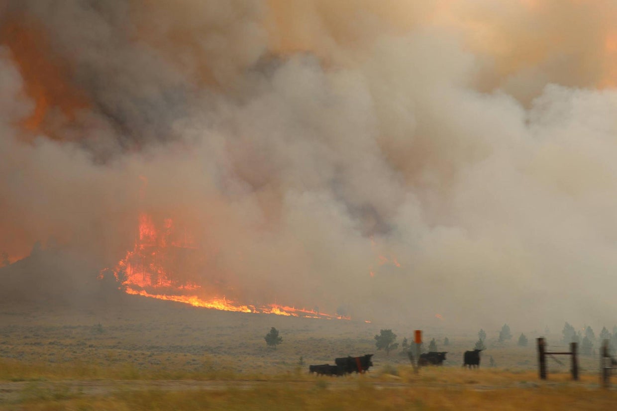 Crews from 34 states arrive to help with destructive Montana fires ...