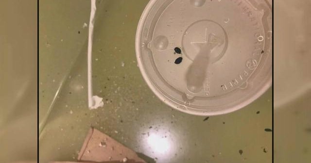 Food court patrons capture video of alleged rodent droppings falling ...