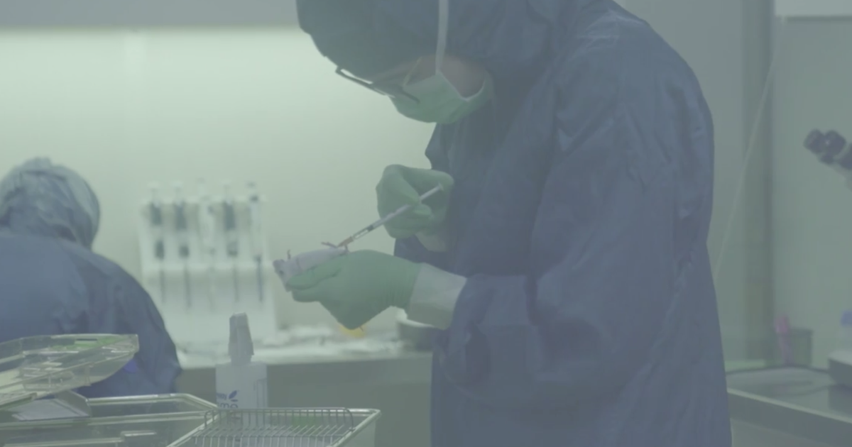 Playing God in China's mutant mice lab - CBS News