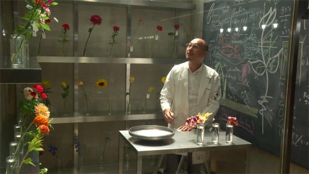 Flower artist Makoto Azuma's stunning arrangements - CBS News