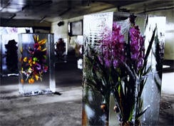 Flower artist Makoto Azuma's stunning arrangements - CBS News