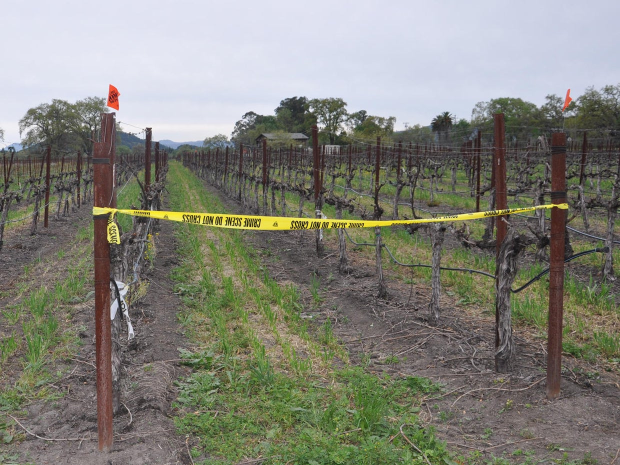 Inside Napa vineyard murder-suicide