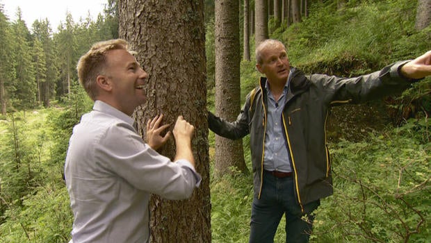 Making violins - CBS News