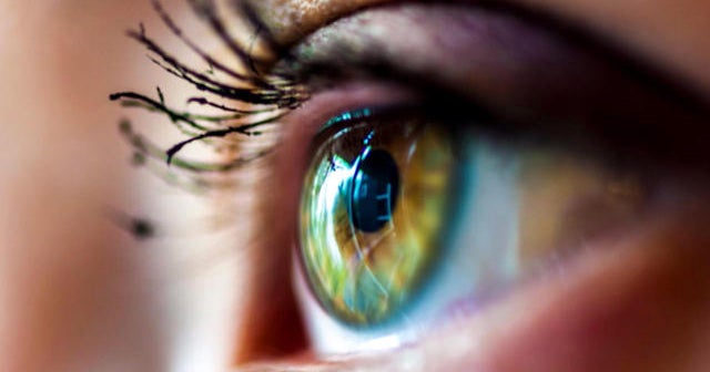 More than a dozen worms found in Oregon woman's eye - CBS News
